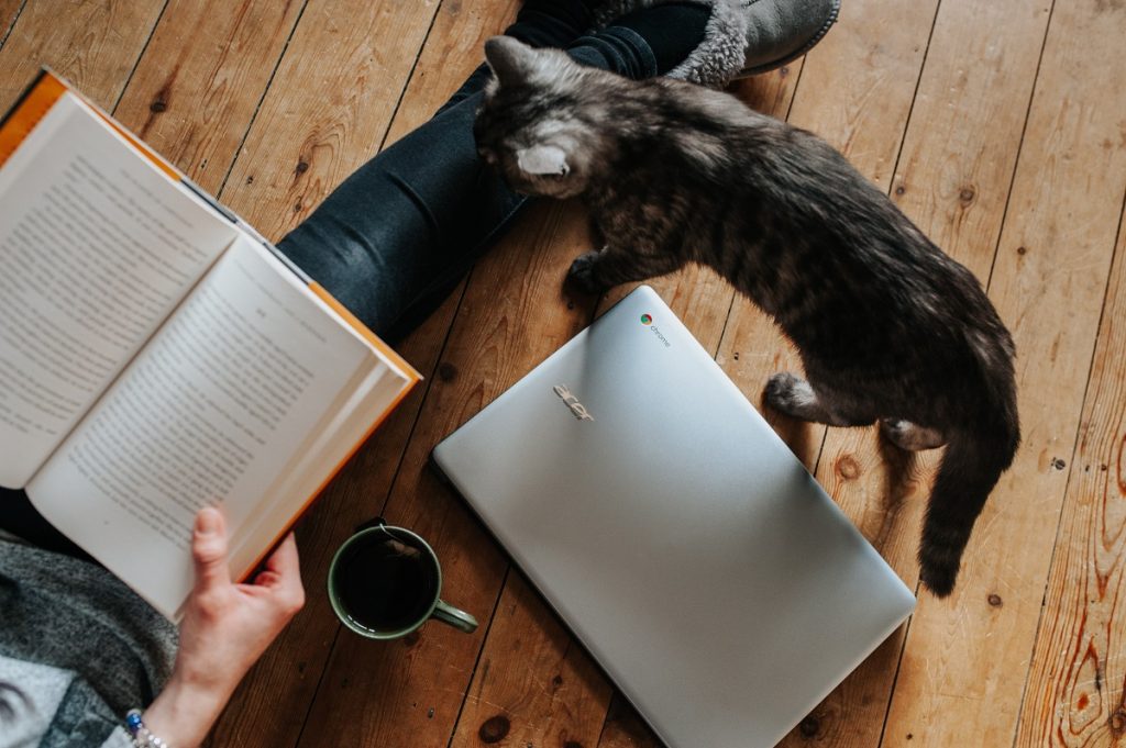 How Do I Get My Chromebook Screen Back To Normal Size? - SearchInventure