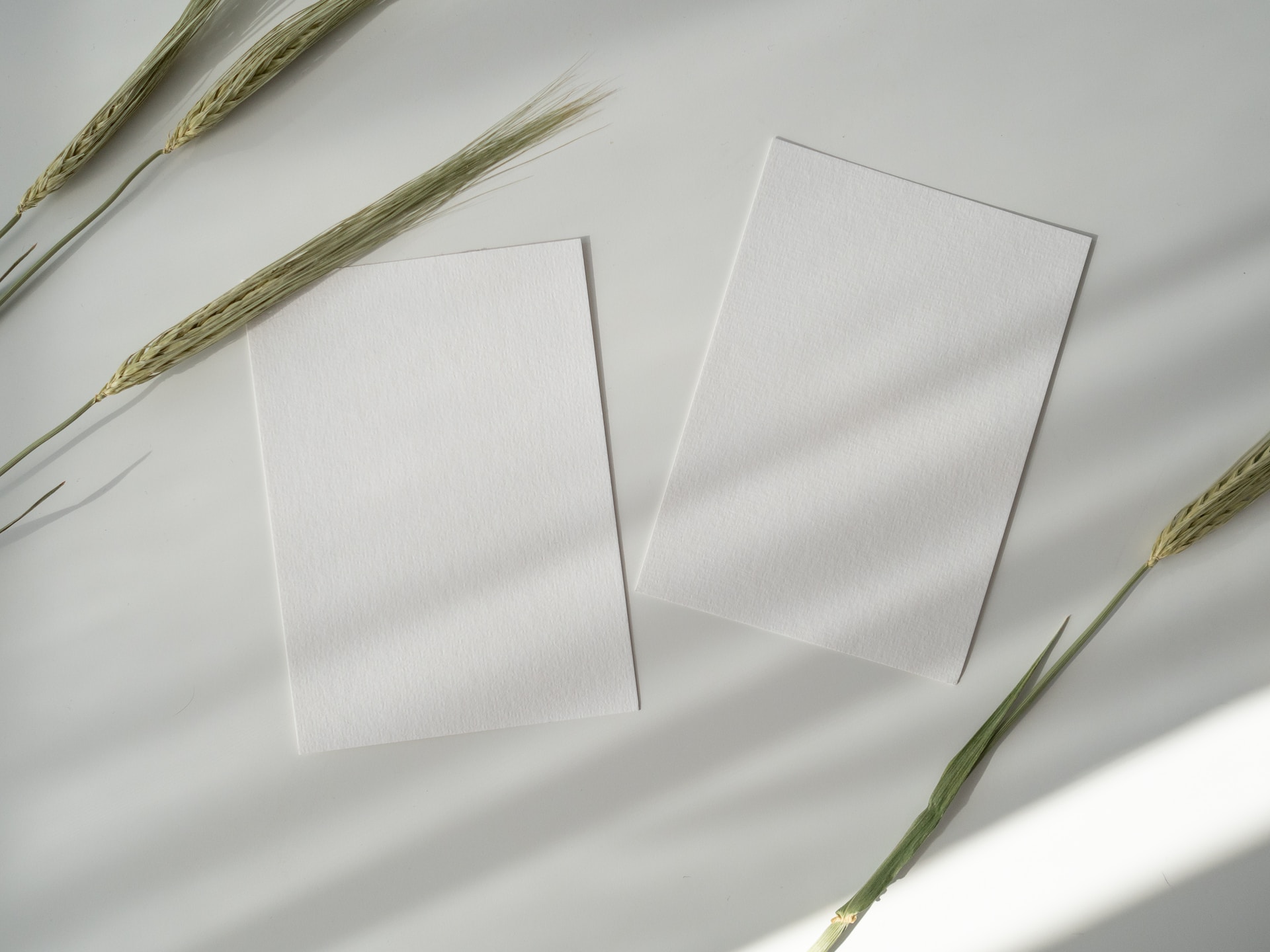 Printer Paper Size In Pixels - SearchInventure